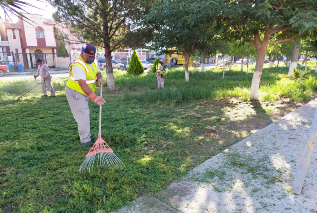Parques limpios y juegos infantiles útiles: aquí te decimos cómo ...
