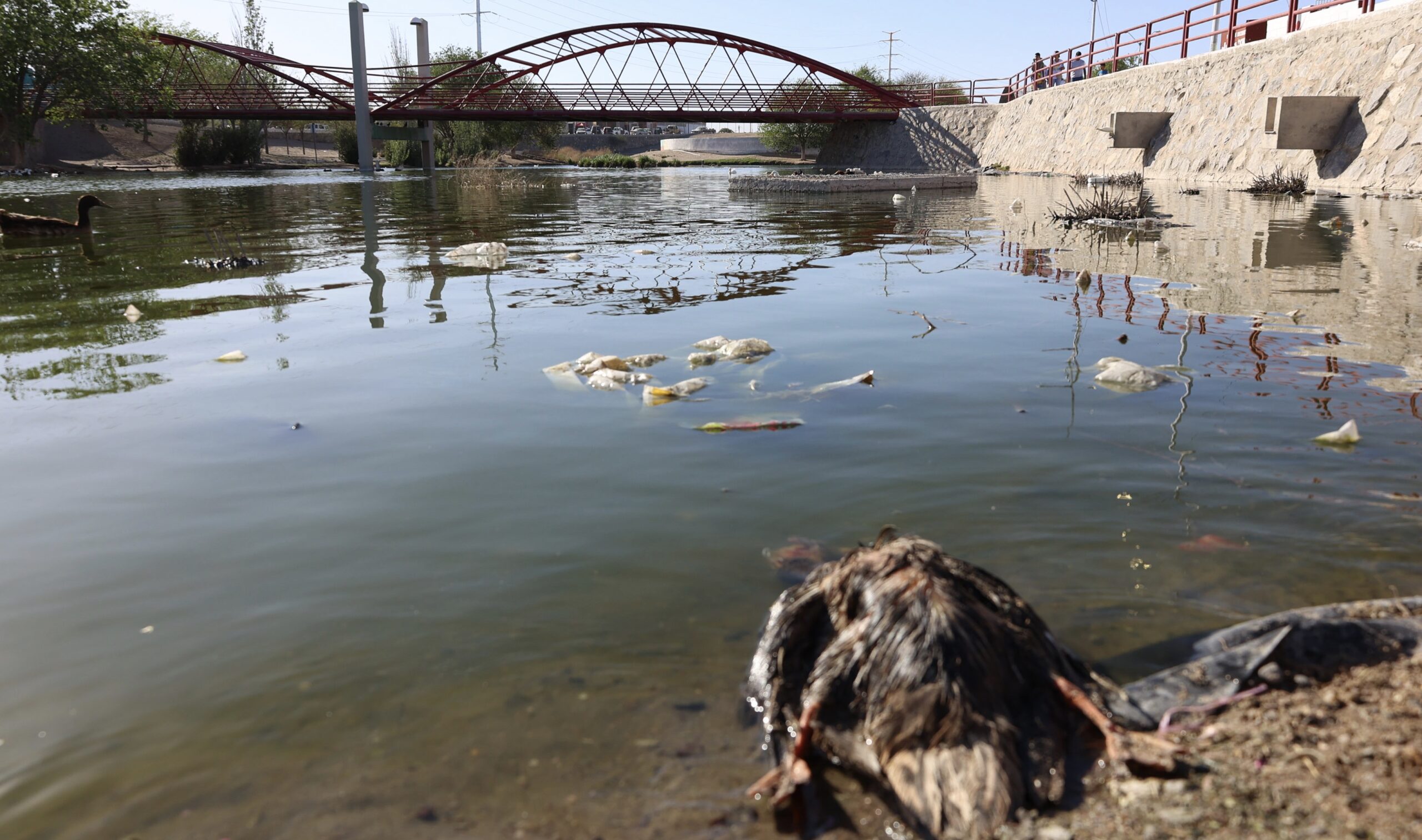 Parque Oriente: sucio, inseguro y abandonado por la autoridad - YoCiudadano